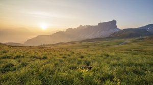 Folkvang (Fólkvangr): The Hall Where Freyja Takes Fallen Viking ...